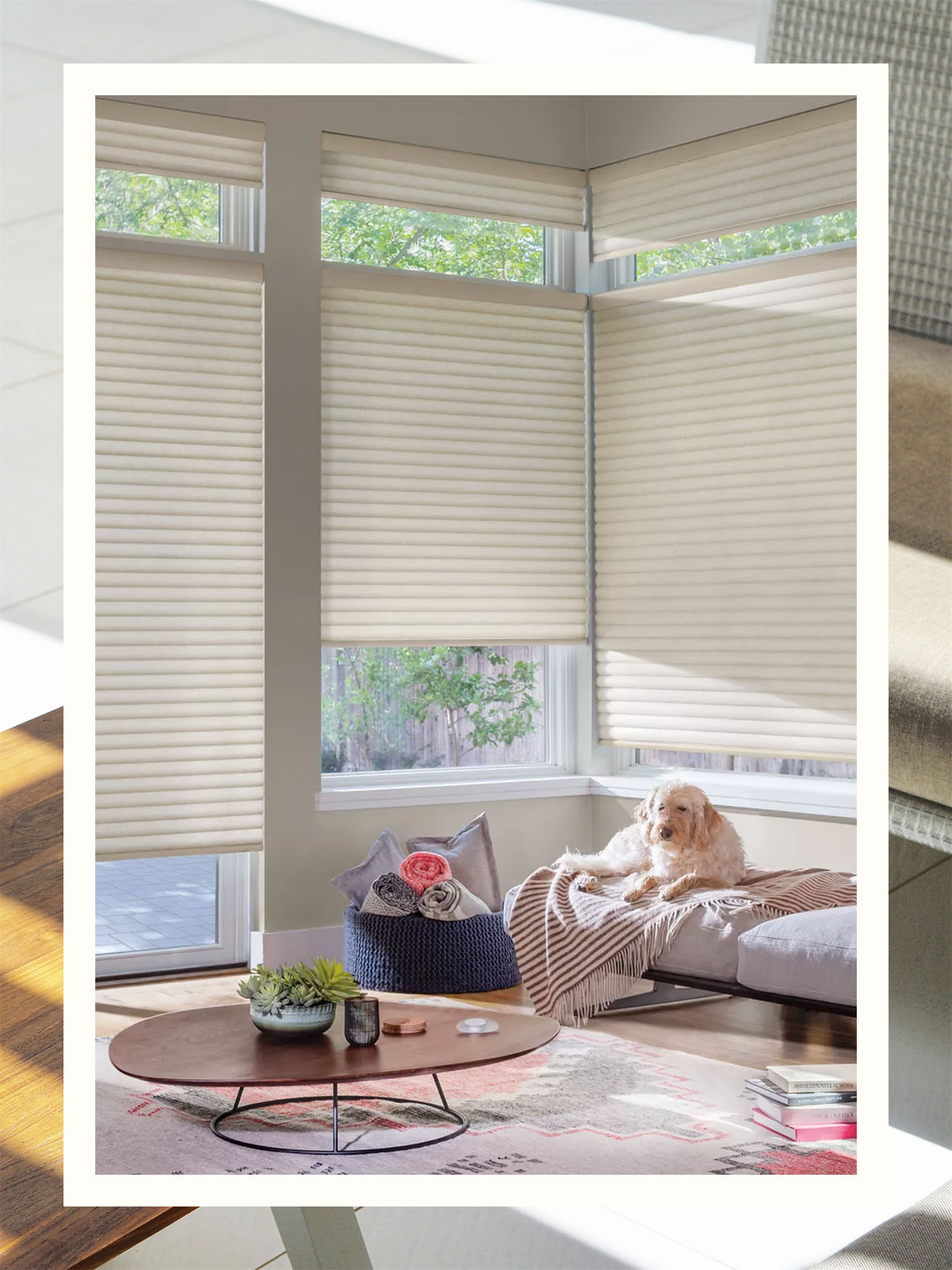 What Are Cellular Shades