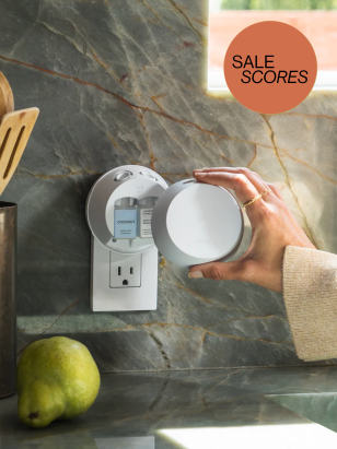 Pura’s Smart Diffuser and Scent Bundle is 25% Off Right Now | domino