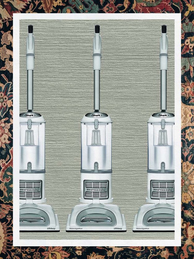 The Best Shark Vacuums in 2022 | domino