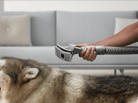 I Tried Dyson’s New Pet Grooming Tool And I Almost Forgot It Was Shedding Season