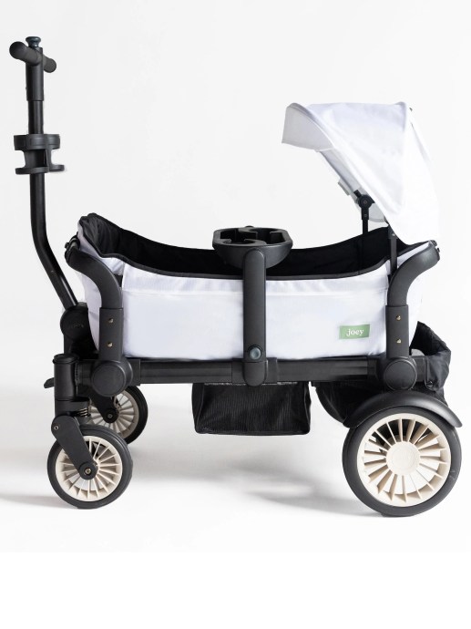 The Kid-Friendly Joey Wagon Replaced Two Strollers In My Garage