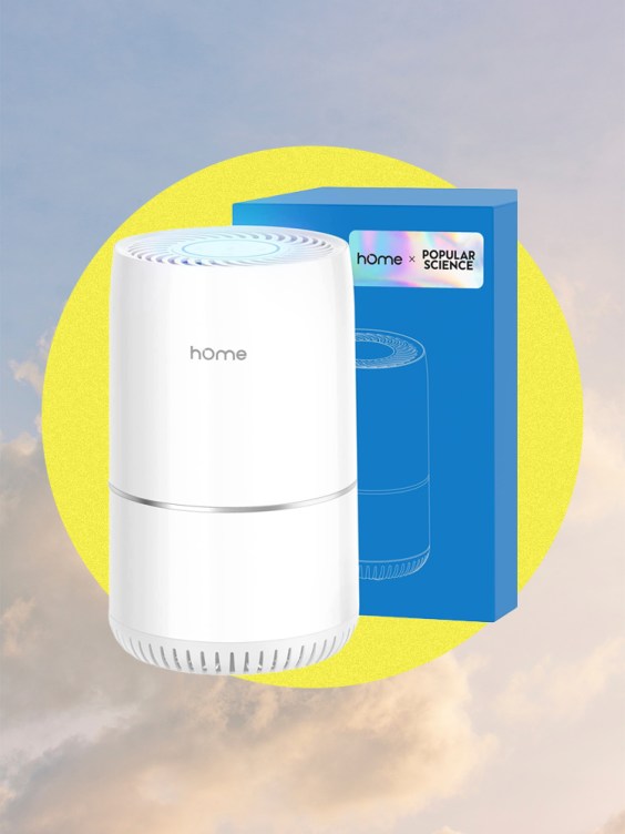 Our Writer Reviews the HomeLabs x Popular Science Air Purifier | domino