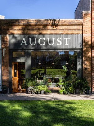 This Northern Michigan Shop is Like “A Curiosity Cabinet Come to Life”
