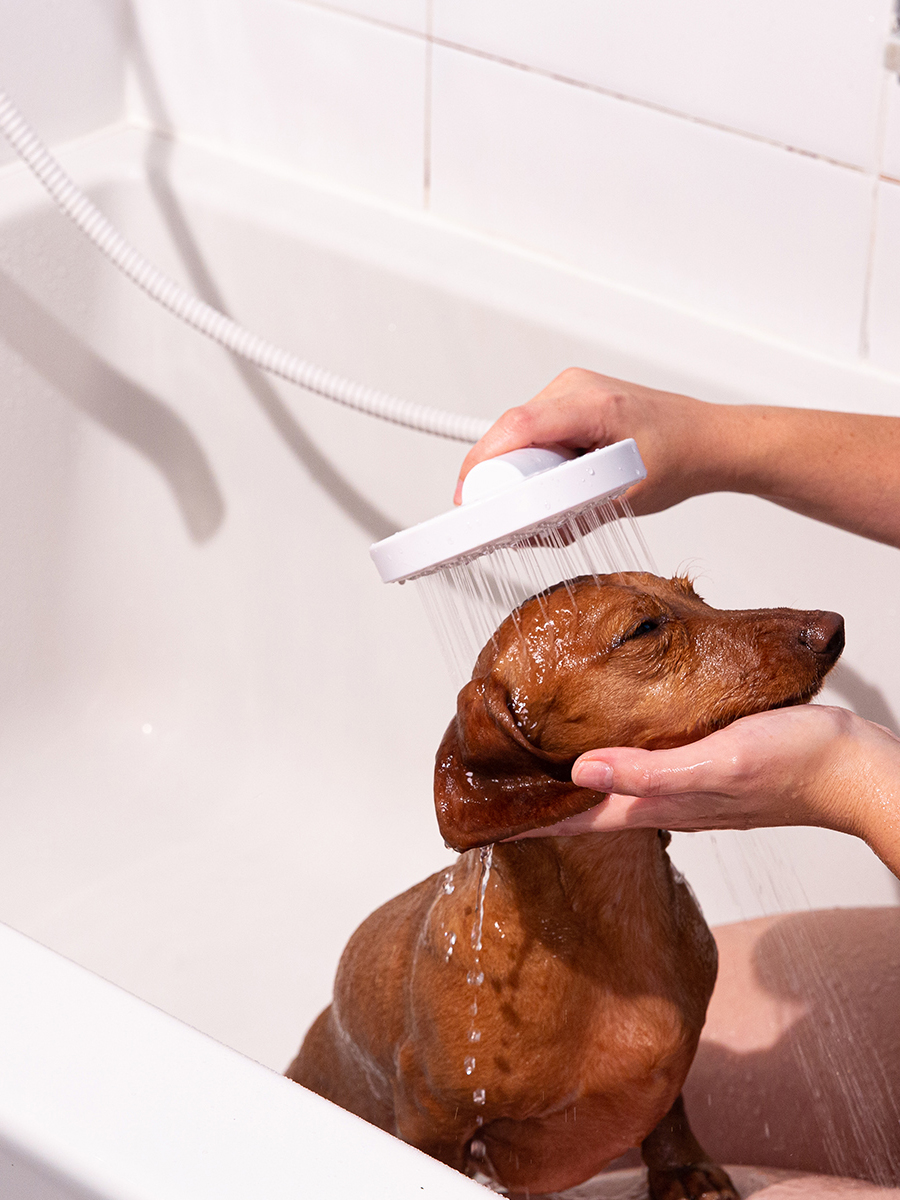 An Honest Review of the Sproos! Shower Kit | domino