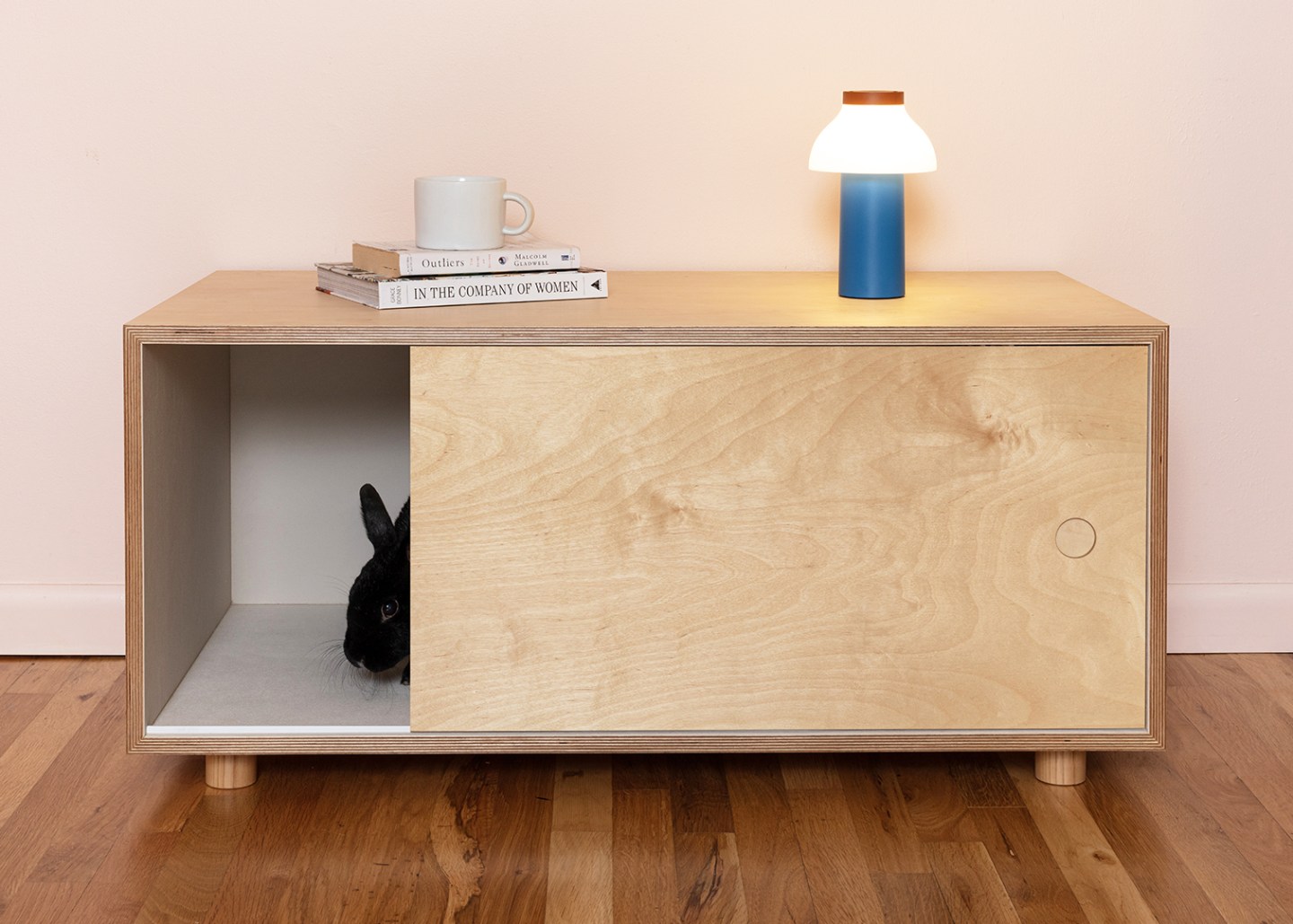 These Stylish Bunny Benches Solve Two Important Pet Parent Problems