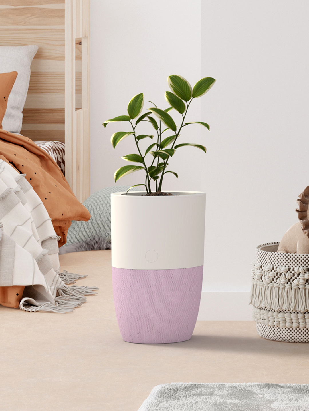 One Domino Editor’s Honest Review of the Bloom Air Purifier | domino