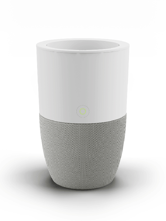 One Domino Editor’s Honest Review of the Bloom Air Purifier | domino