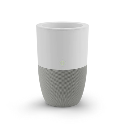 One Domino Editor’s Honest Review of the Bloom Air Purifier | domino