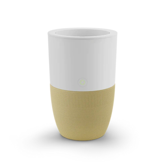 One Domino Editor’s Honest Review of the Bloom Air Purifier | domino