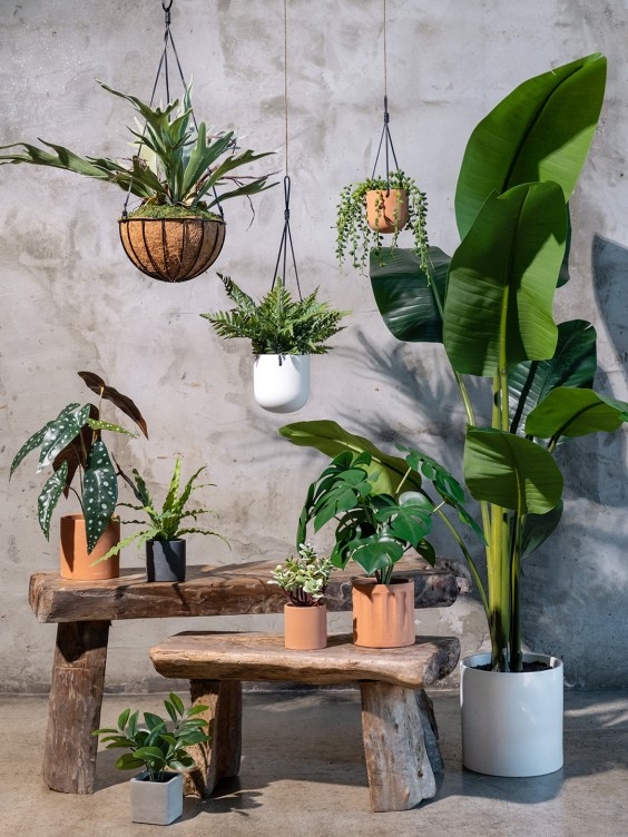 Hilton Carter's New Target Drop Features a Convincing Faux Version of ...