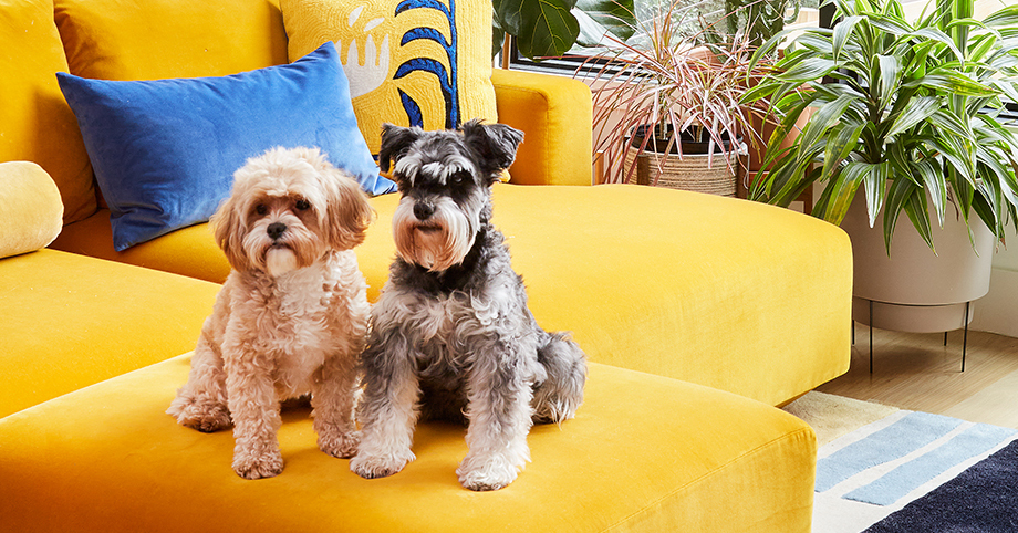 Does Stain-Resistant Upholstery Really Work? A New Study Says Not Really