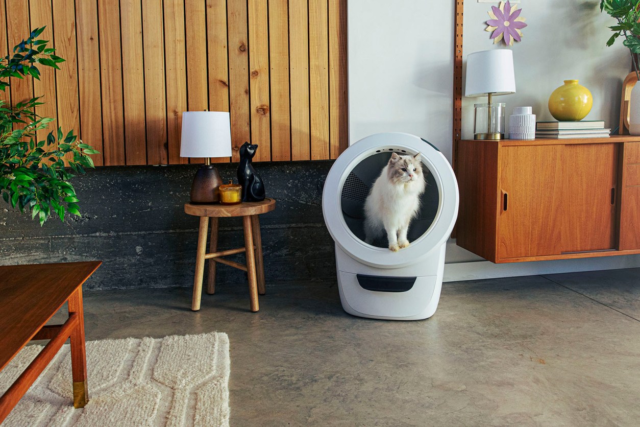 My Self-Cleaning Litter Box Is So Sleek That I Keep It in the Living ...