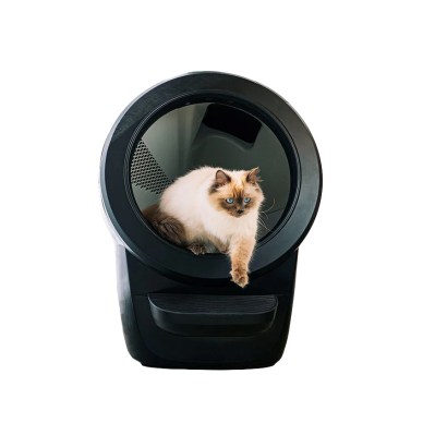 My Self-Cleaning Litter Box Is So Sleek That I Keep It in the Living ...