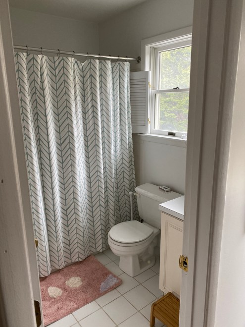 Jill Singer's Guest Bathroom Was Inspired by a Funky Toilet Paper Holder