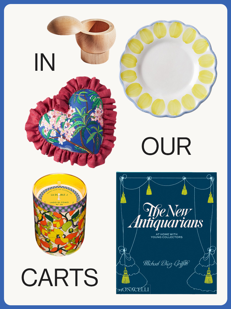 6 Things That Earned a Coveted Spot in our June Shopping Carts | domino
