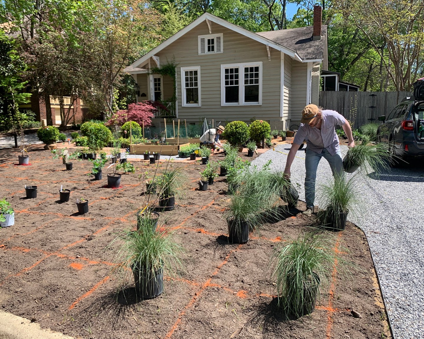 How I Turned My Friend’s Yard Into a Pollinator Paradise