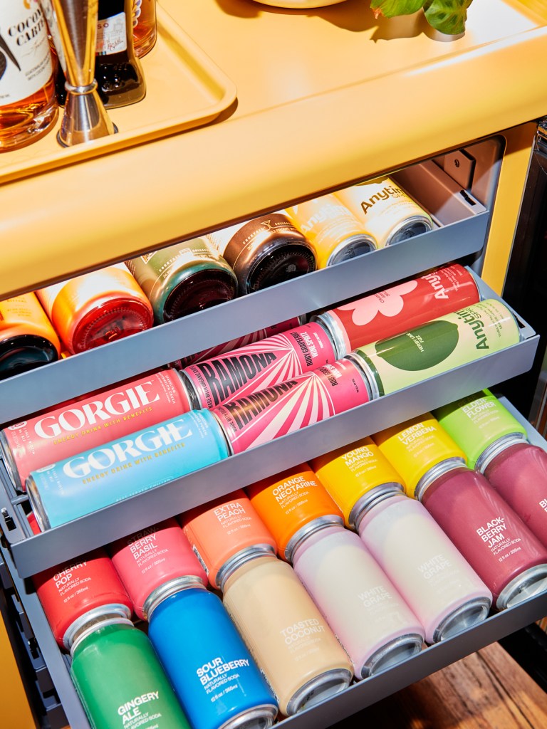 Our Editor's Honest Review of the Rocco Beverage Fridge