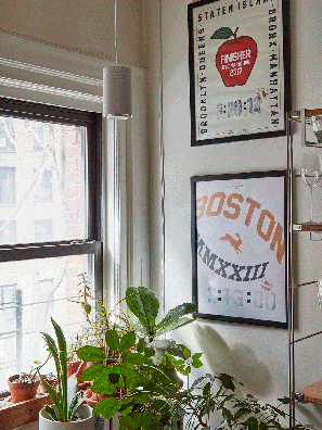 Our Editor's Honest Review of the Soltech Aspect Grow Light | domino