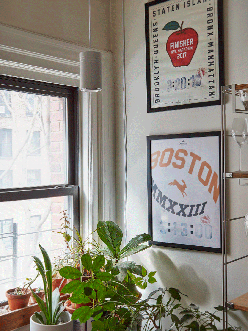 Our Editor's Honest Review of the Soltech Aspect Grow Light | domino