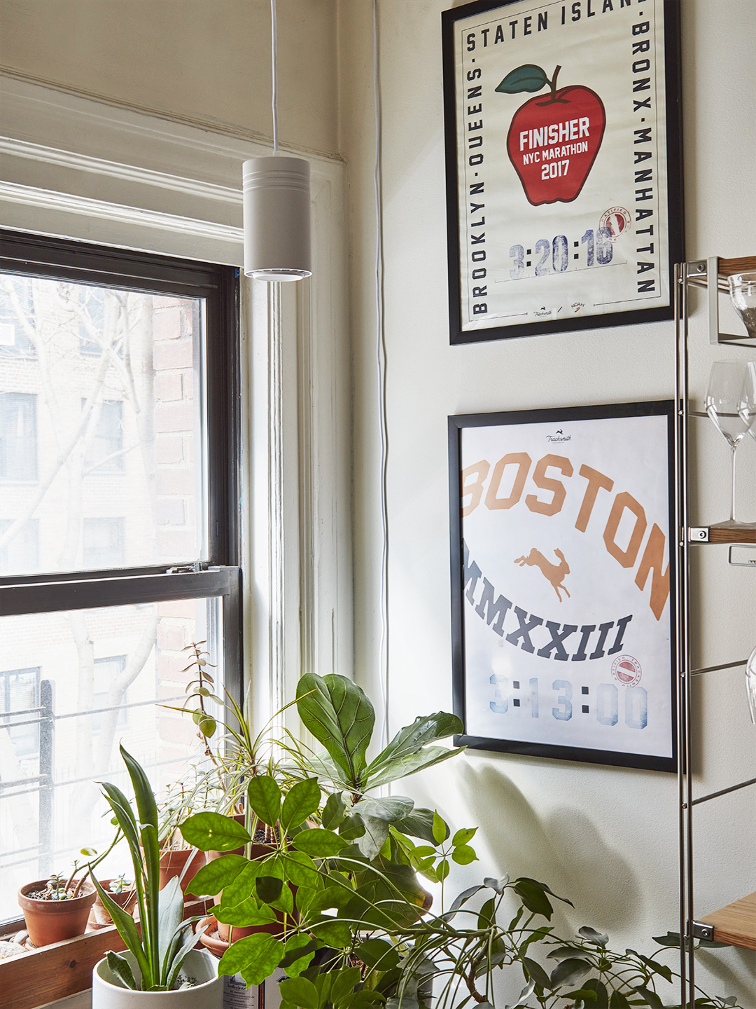 Our Editor's Honest Review of the Soltech Aspect Grow Light | domino