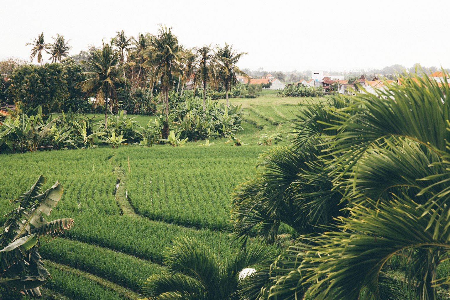 Here’s What It’s Actually Like to Move to Bali