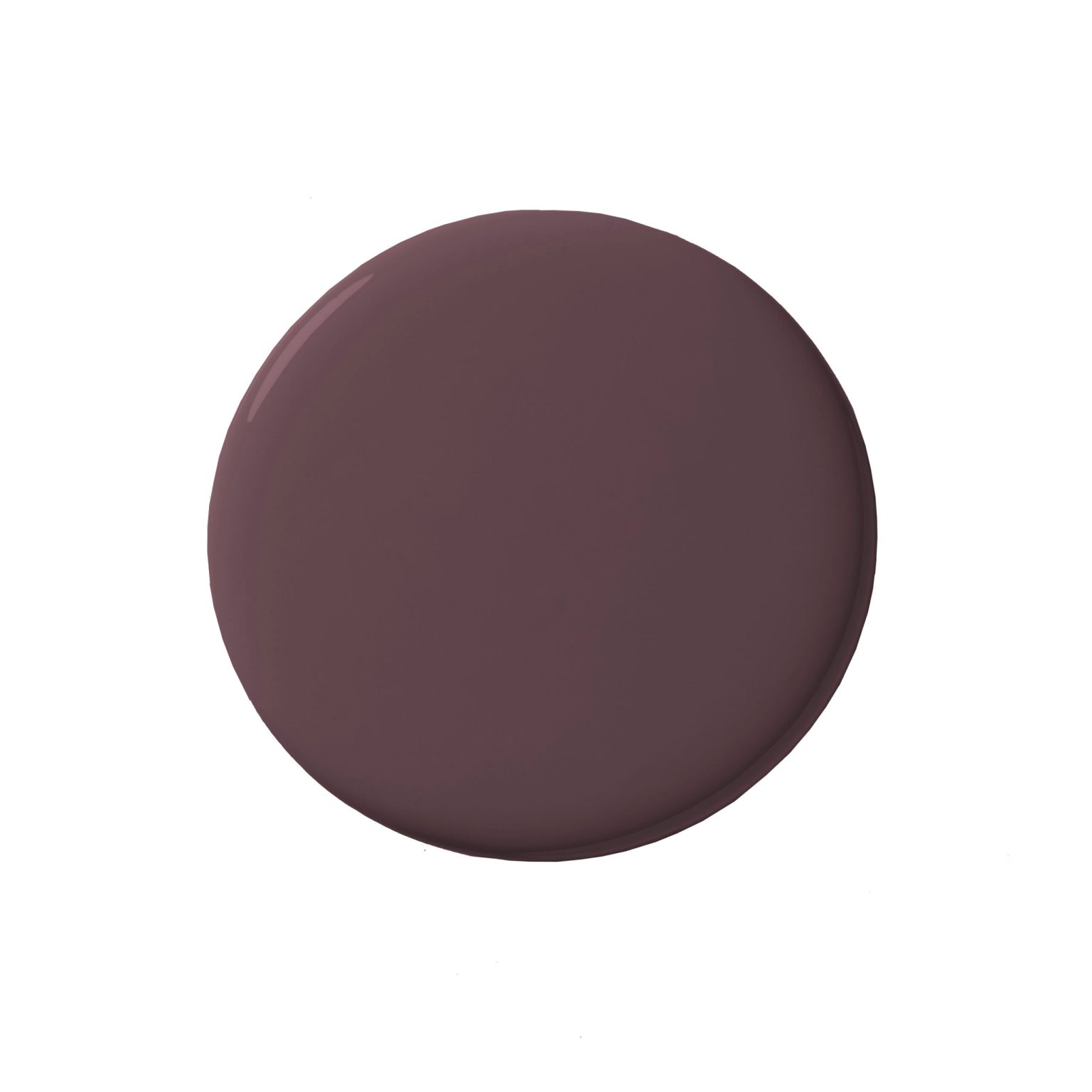 Brynn Whitfield Landed on This Trending Paint Color for Her Closet