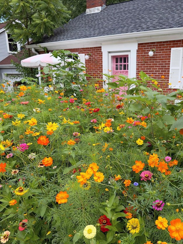 This Nashville Yard Went From Mud Puddle to Wildflower Garden