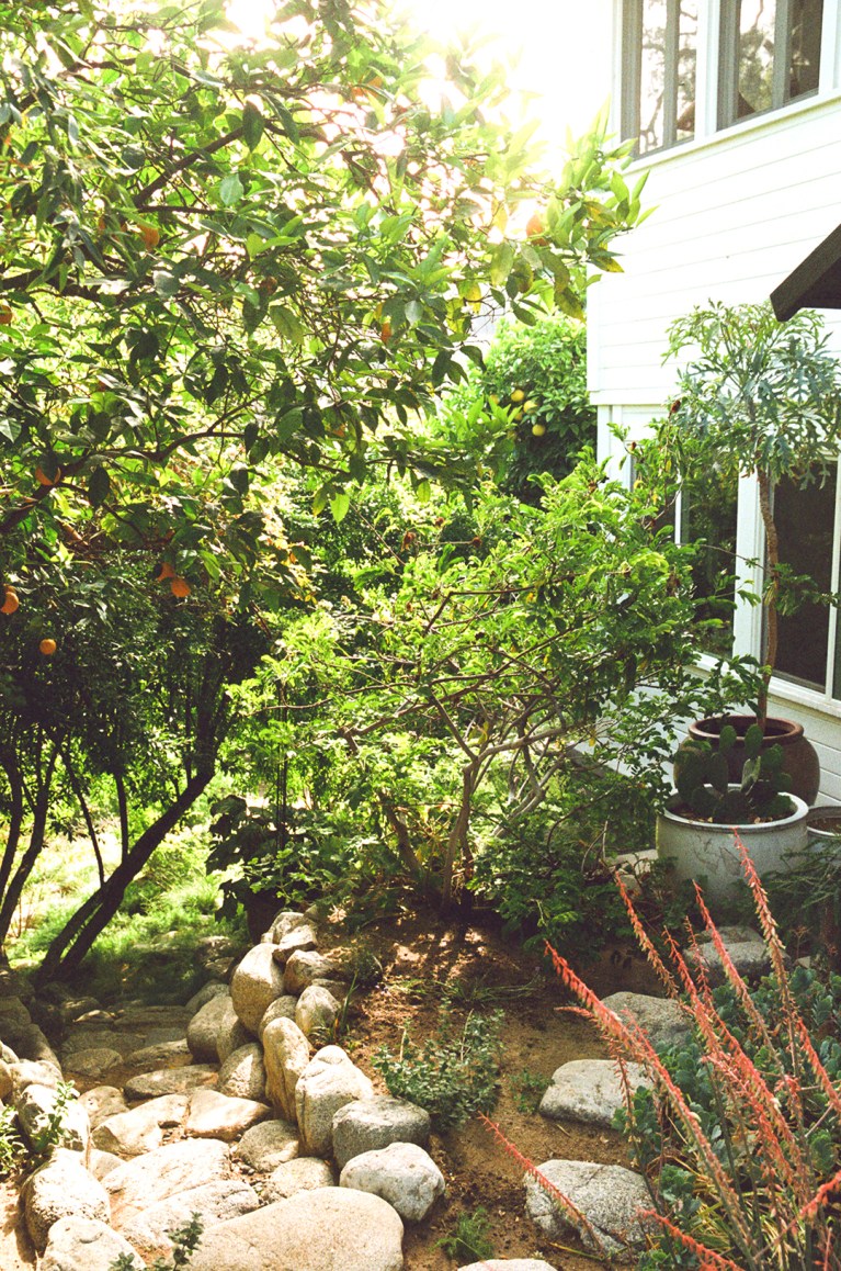 Take a Tour of Ceramist Beth Katz's Serene Los Angeles Home | domino