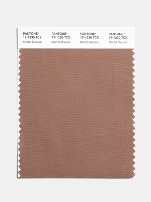 Pantone's 2025 Color of the Year Is...
