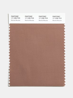 Pantone's 2025 Color of the Year Is...