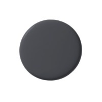 Designers Share Their Favorite Dark Paint Colors