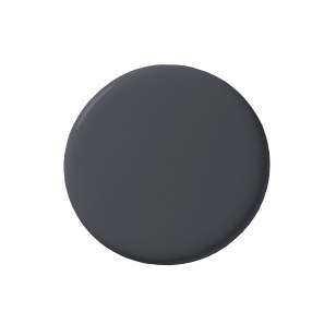 Designers Share Their Favorite Dark Paint Colors