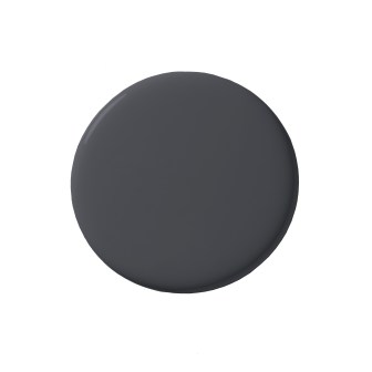 Designers Share Their Favorite Dark Paint Colors