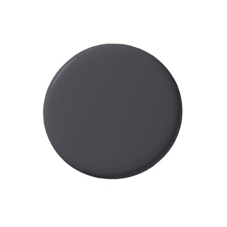 Designers Share Their Favorite Dark Paint Colors