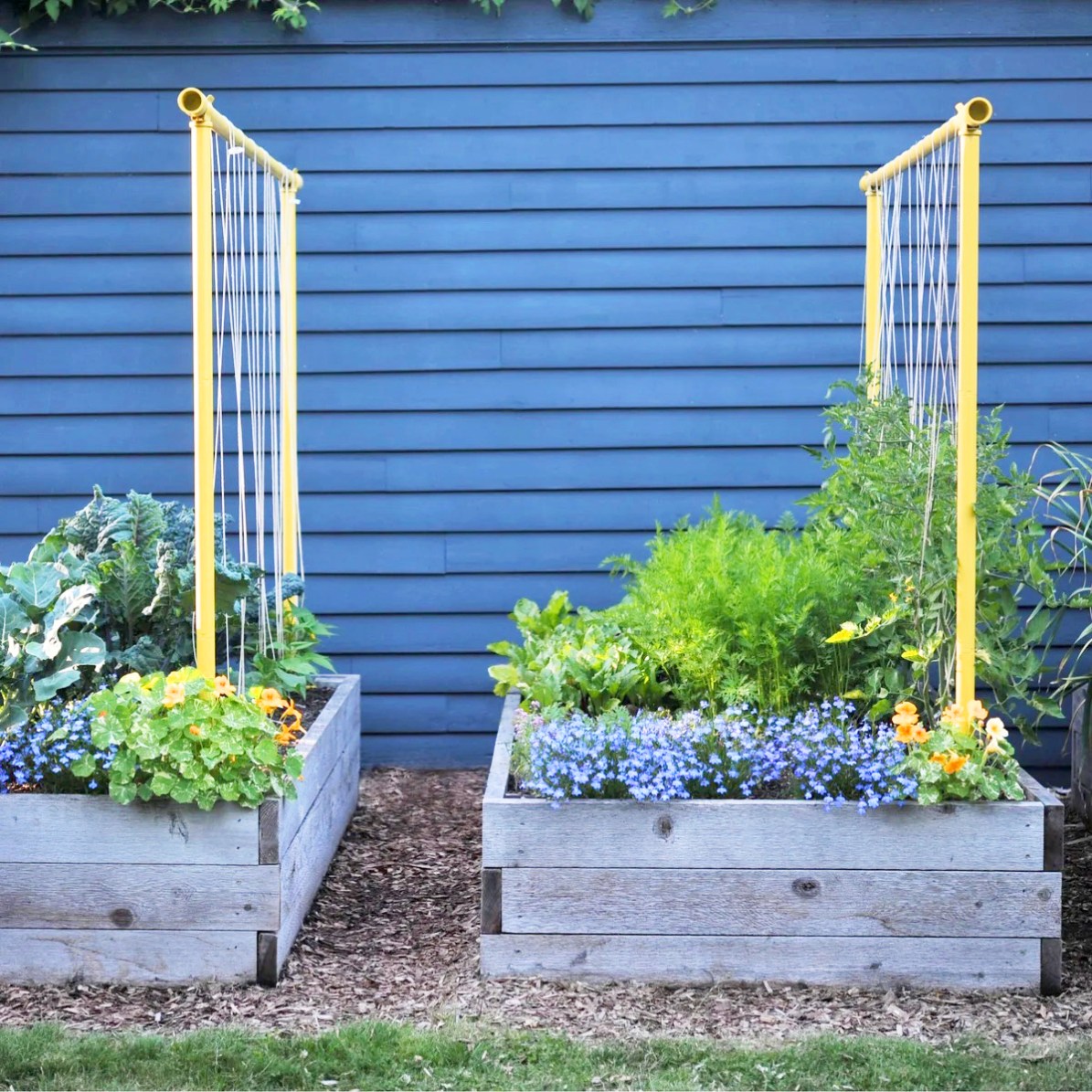 A Higher Fence Costs Thousands—This Double-Duty Privacy Screen Is Just ...