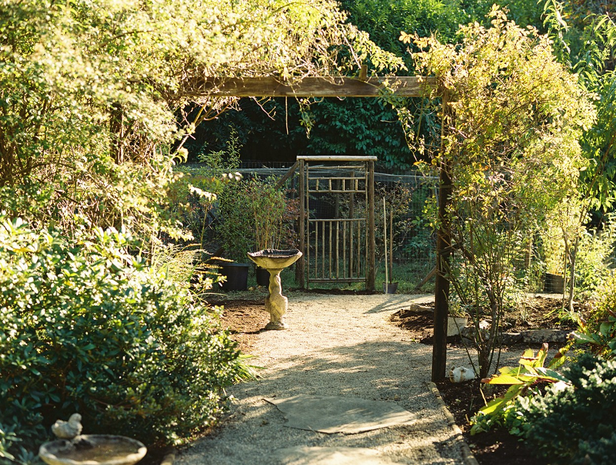 A Landscape Designer Looks Back on the Successes of Her Family’s Garden
