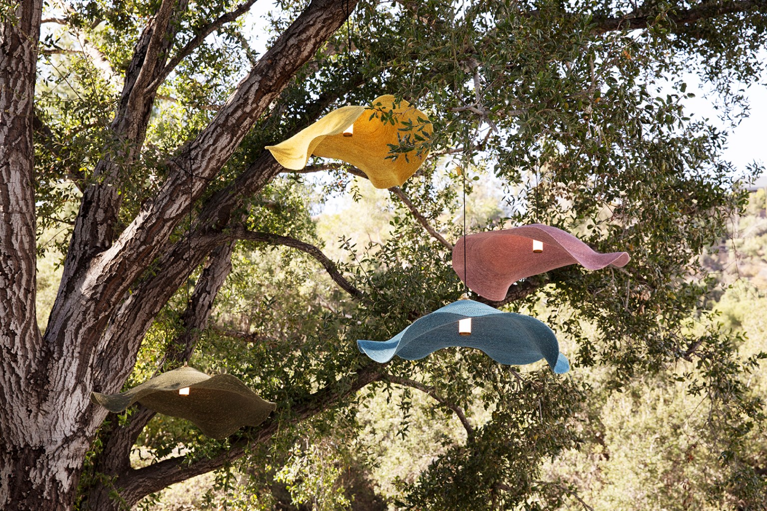 A First Look at The Novogratz x Pooky Rechargeable Outdoor Lighting ...