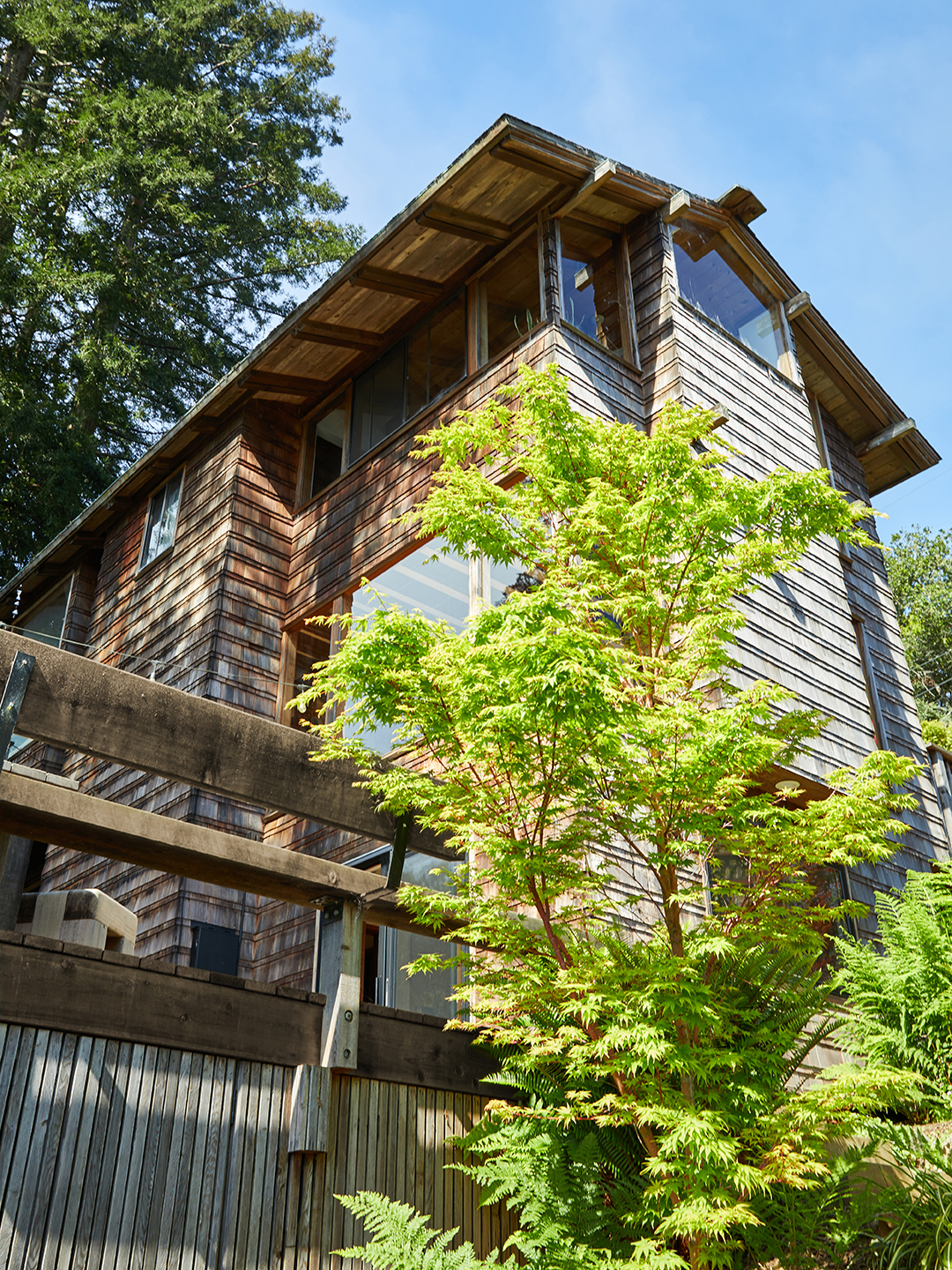 A 1970s Split-Level Nestled Among California's Ancient Redwoods | domino